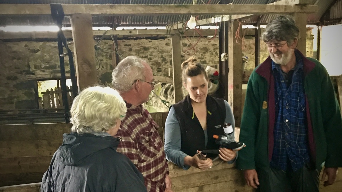 Numnuts availability in the UK