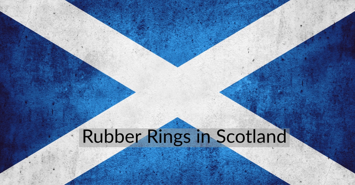 Scottish Farmers can Legally Ring Lambs up to 12 Weeks of Age Using Numnuts - Numnuts