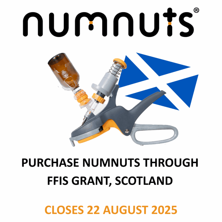 Numnuts UK | Tail docking and Castration | Lamb & Calf Ringing